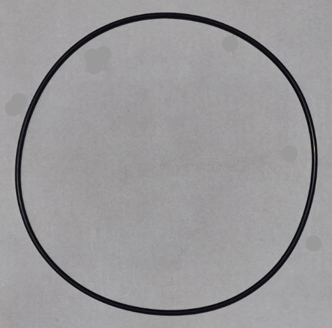 Reliant Cartridge Filter Tank O-Ring for C2120 / C2150 / C2200 / BC310 ...